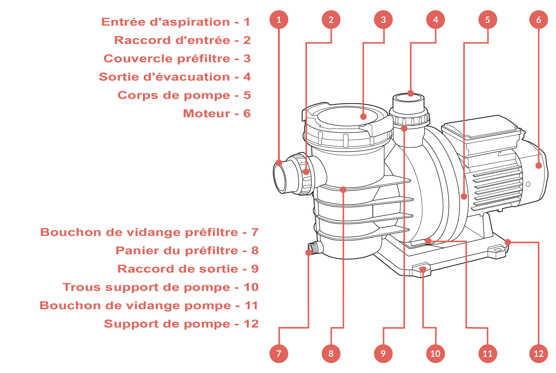 Comment Diagnostiquer et Réparer une Panne sur la Pompe de Filtration ? - Le Pisciniste